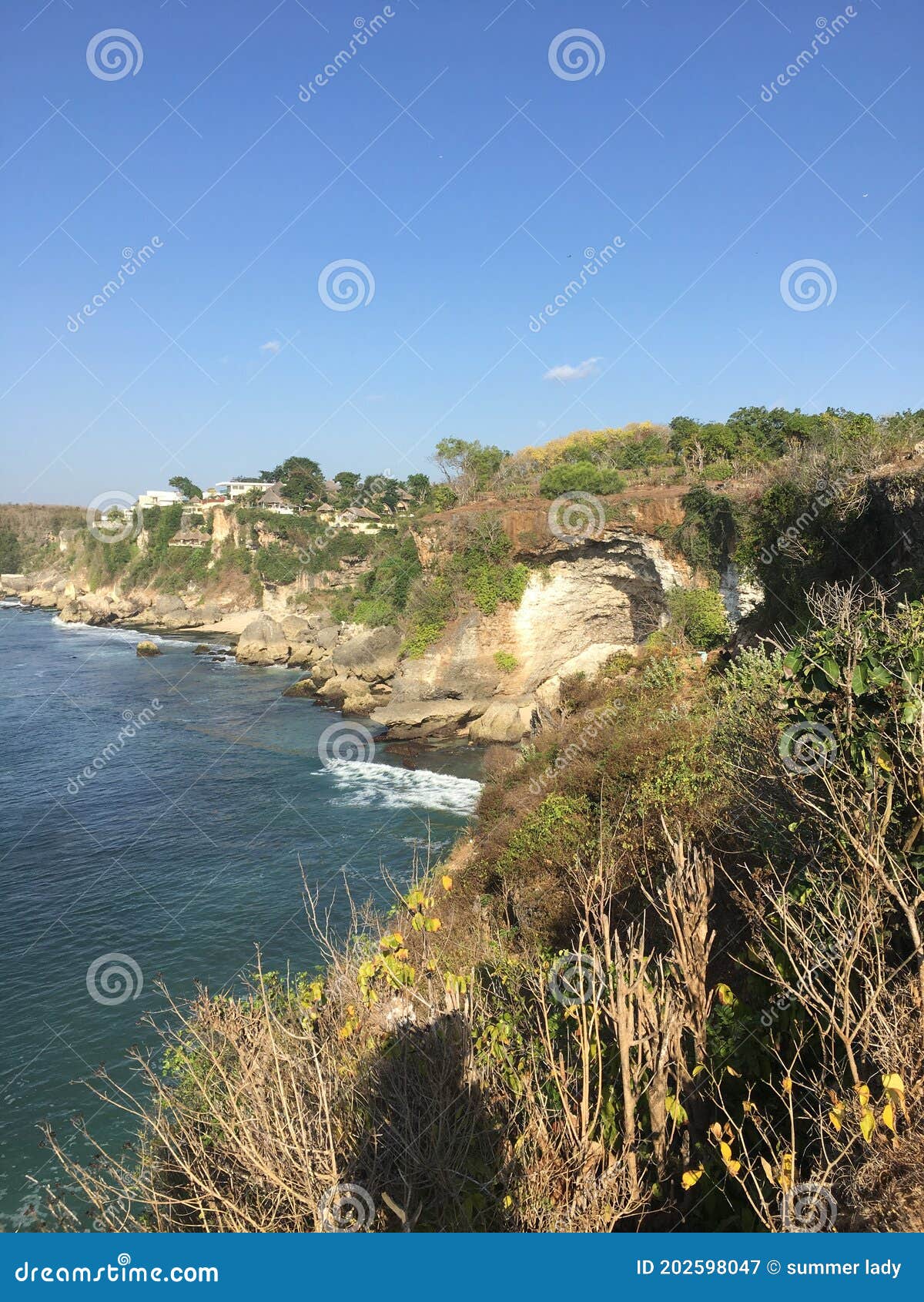 Beautiful cliffs stock image. Image of flowers, cliffs - 202598047