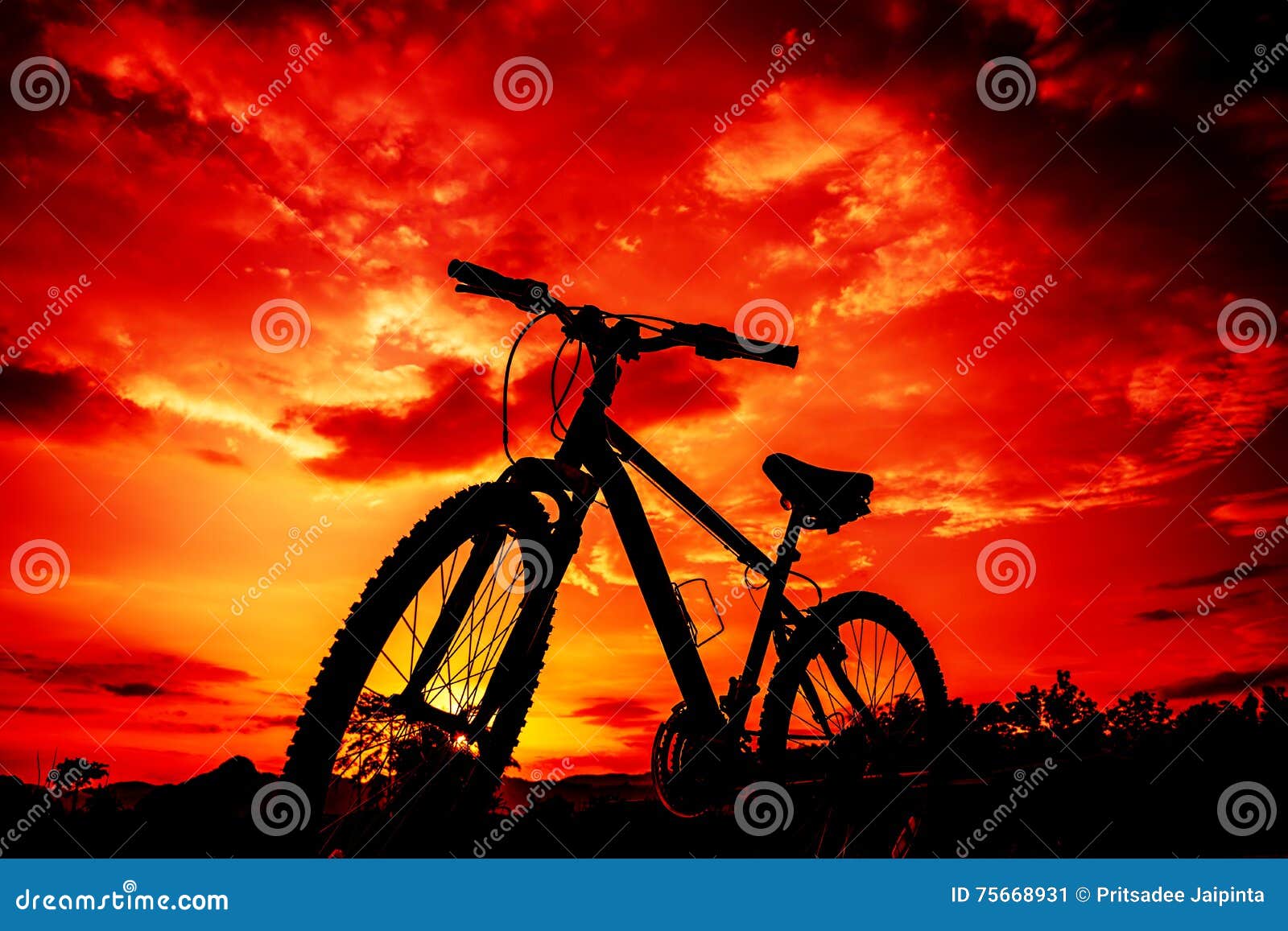 Beautiful Close Up Scene of Bicycle Stock Image - Image of outdoor ...