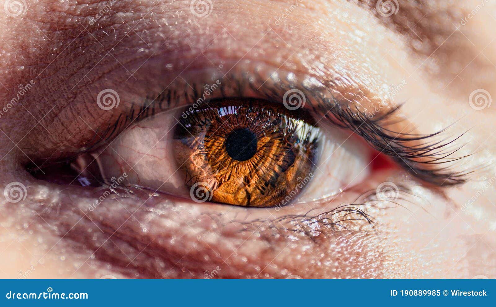 Beautiful Closeup Macro Shot of the Details of a Hazel Brown Human Eye ...