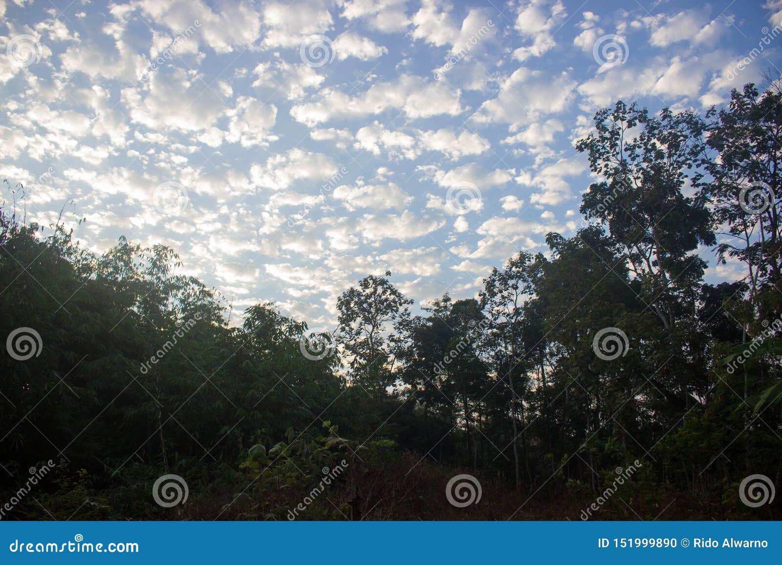 Cloud Formation in the Blue Sky and Trees Stock Photo - Image of ...