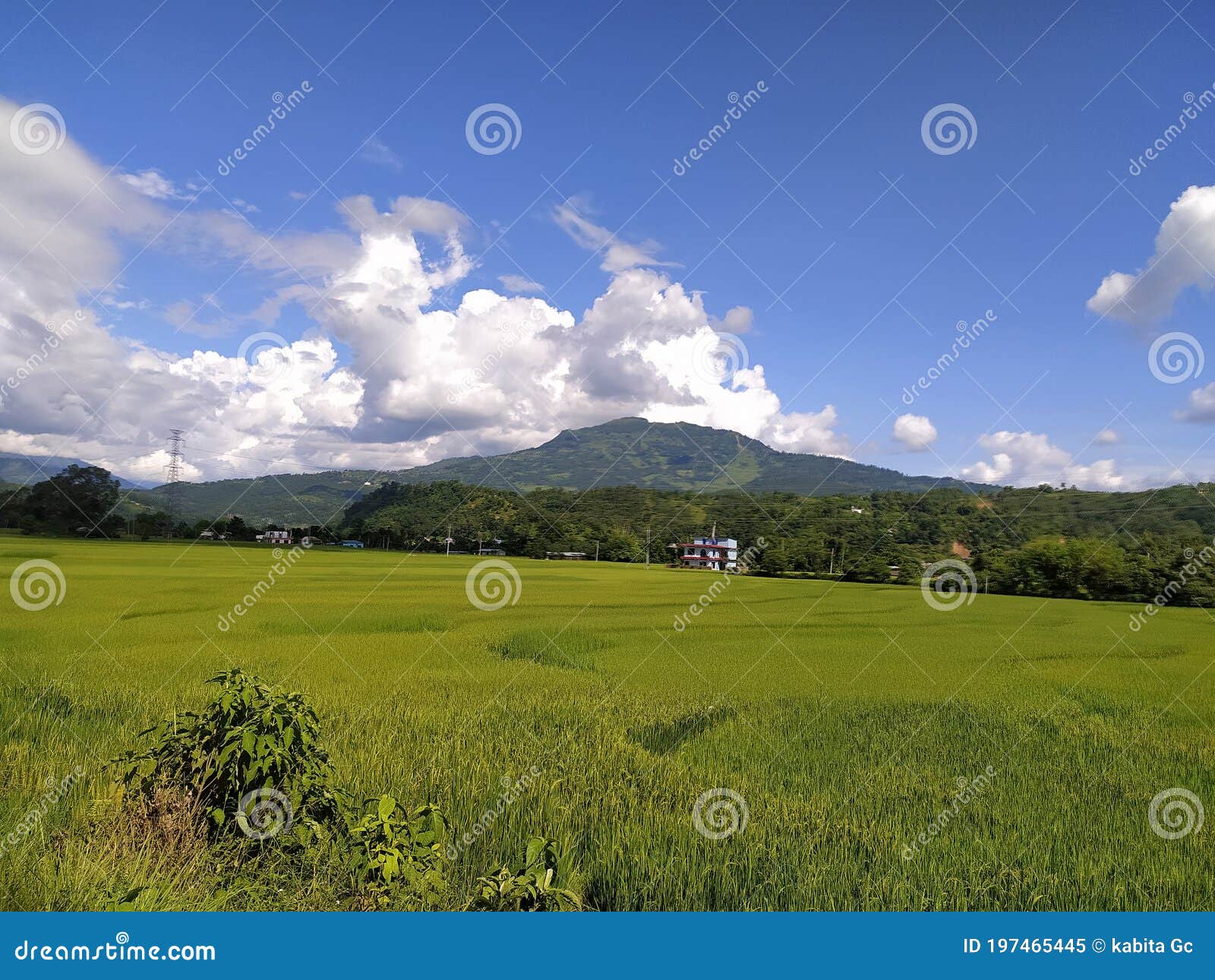 Beautiful Clouds in Noon Time Stock Image - Image of noon, time: 197465445