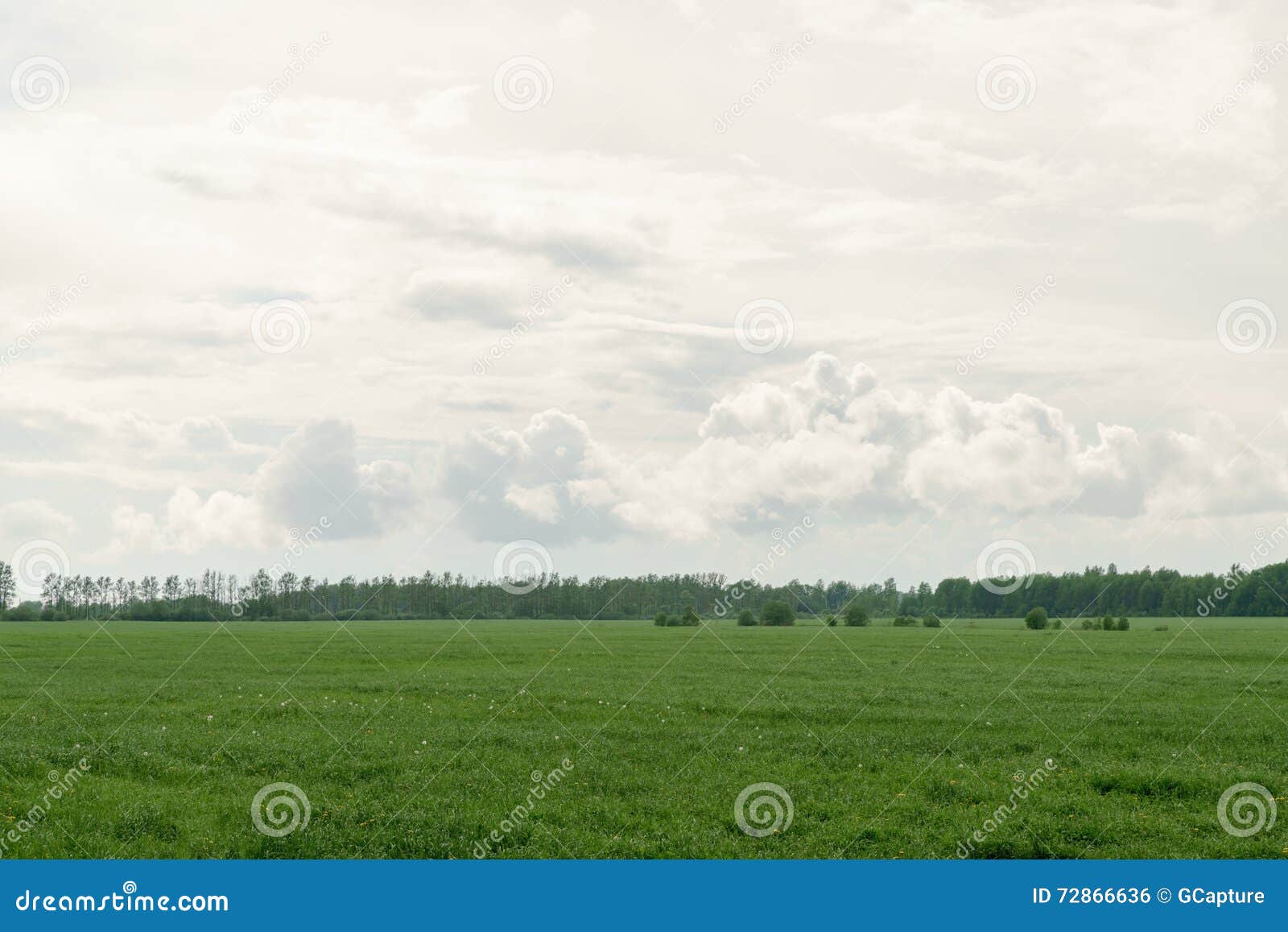 Beautiful Clouds Over Green Field and Forest Stock Photo - Image of ...