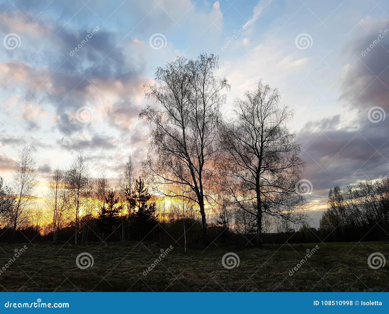 Spring Sunset Landscape with Forest. Stock Photo - Image of cloudscape ...