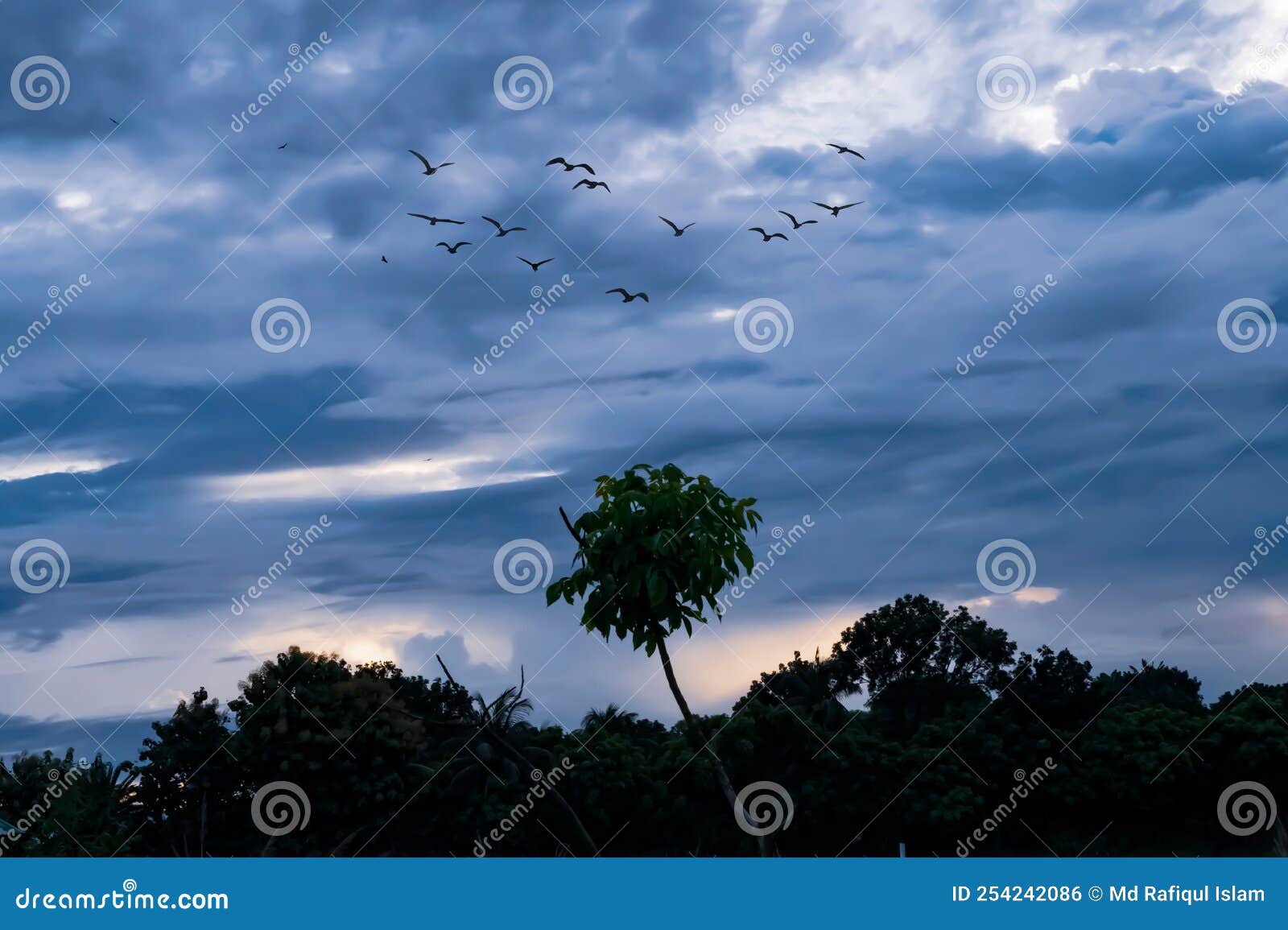 Beautiful Cloudy and Dramatic Sky. Flying Birds in Sky Stock Photo ...