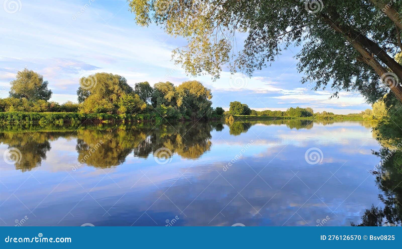 A Beautiful Cloudy Sky in the Evening Over the River. the Branches of ...