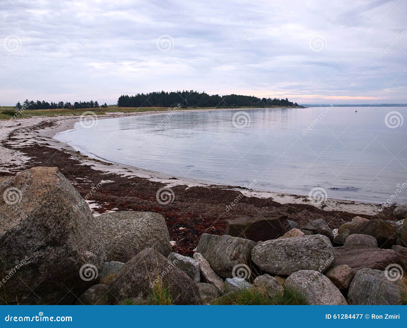 Beautiful Coast Line Beach Denmark Stock Image - Image of sand, nature ...