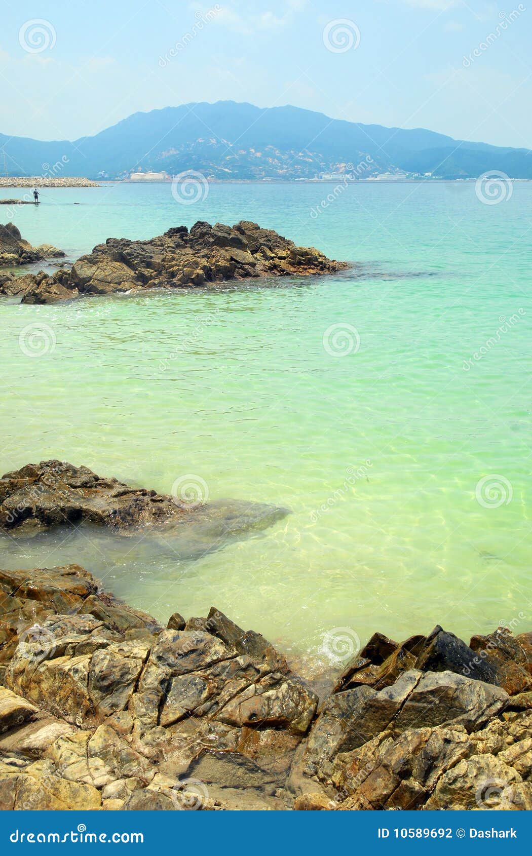 Beautiful coastline stock photo. Image of leaves, peace - 10589692
