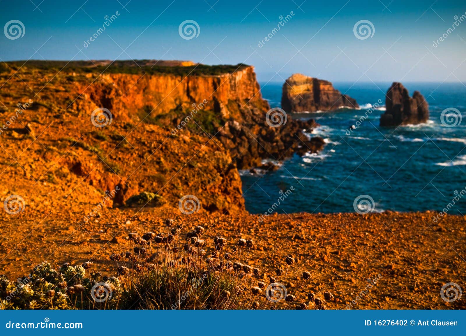 Beautiful Coastline View with Blue Sea Stock Photo - Image of nature ...