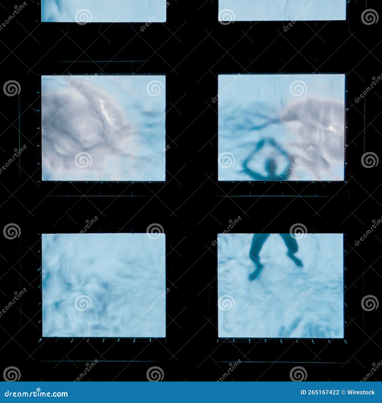 Beautiful Collage of People Swimming in the Pool Stock Photo - Image of ...