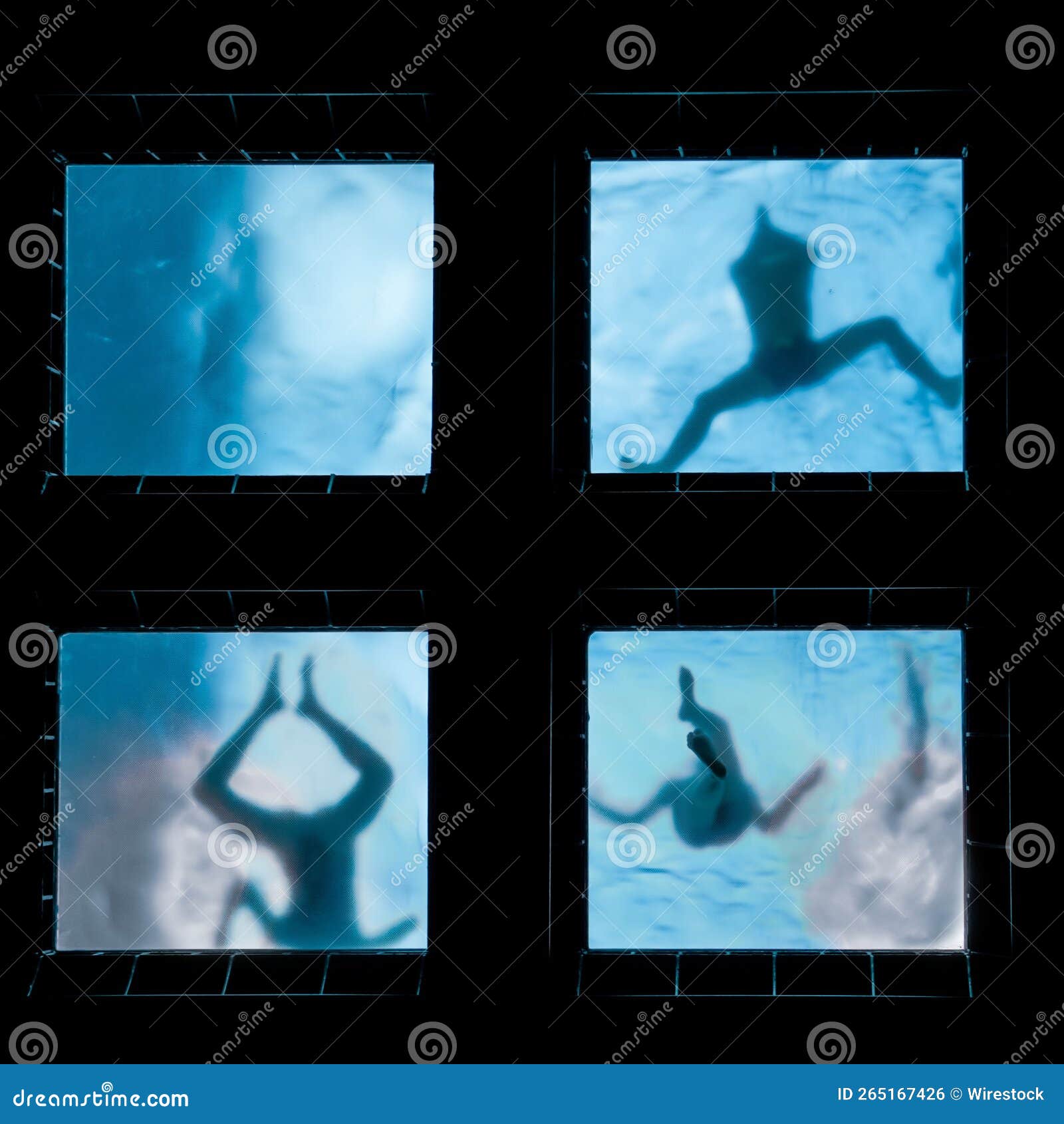 Beautiful Collage of People Swimming in the Pool Stock Photo - Image of ...
