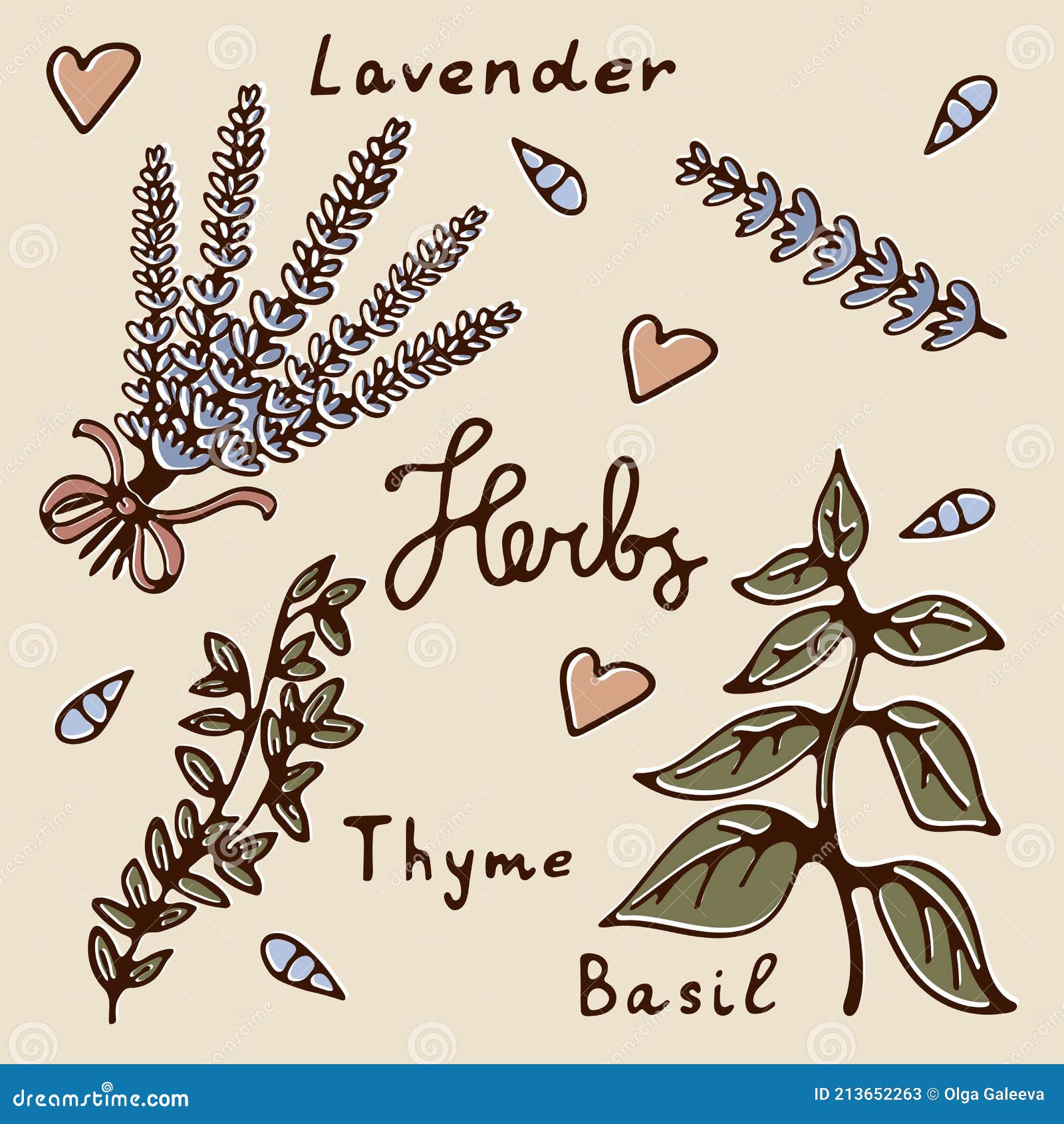 Beautiful Collection of Herbs Graphics. Illustration of Herbs in Vector ...