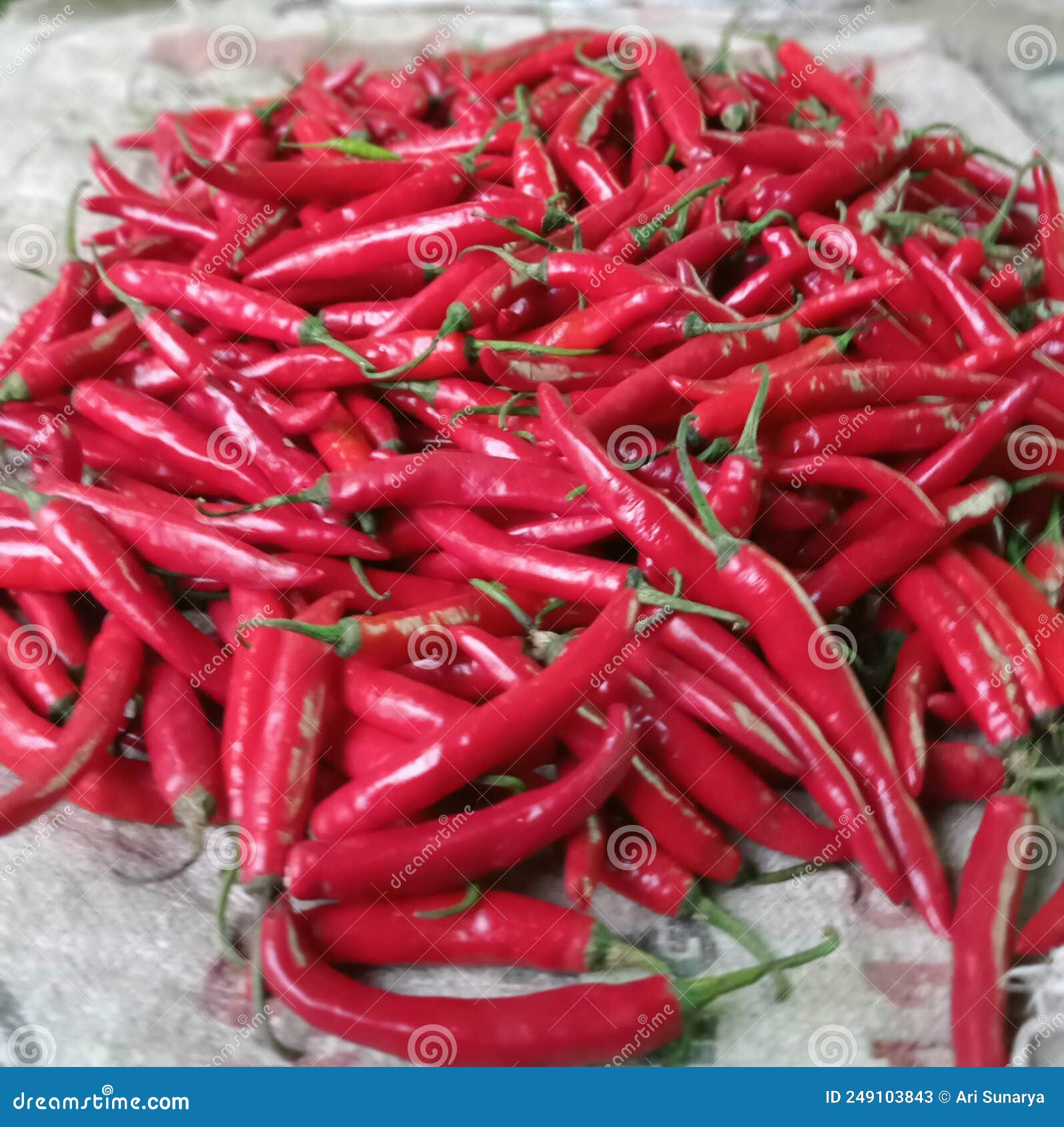 Beautiful color of chili stock image. Image of petal - 249103843