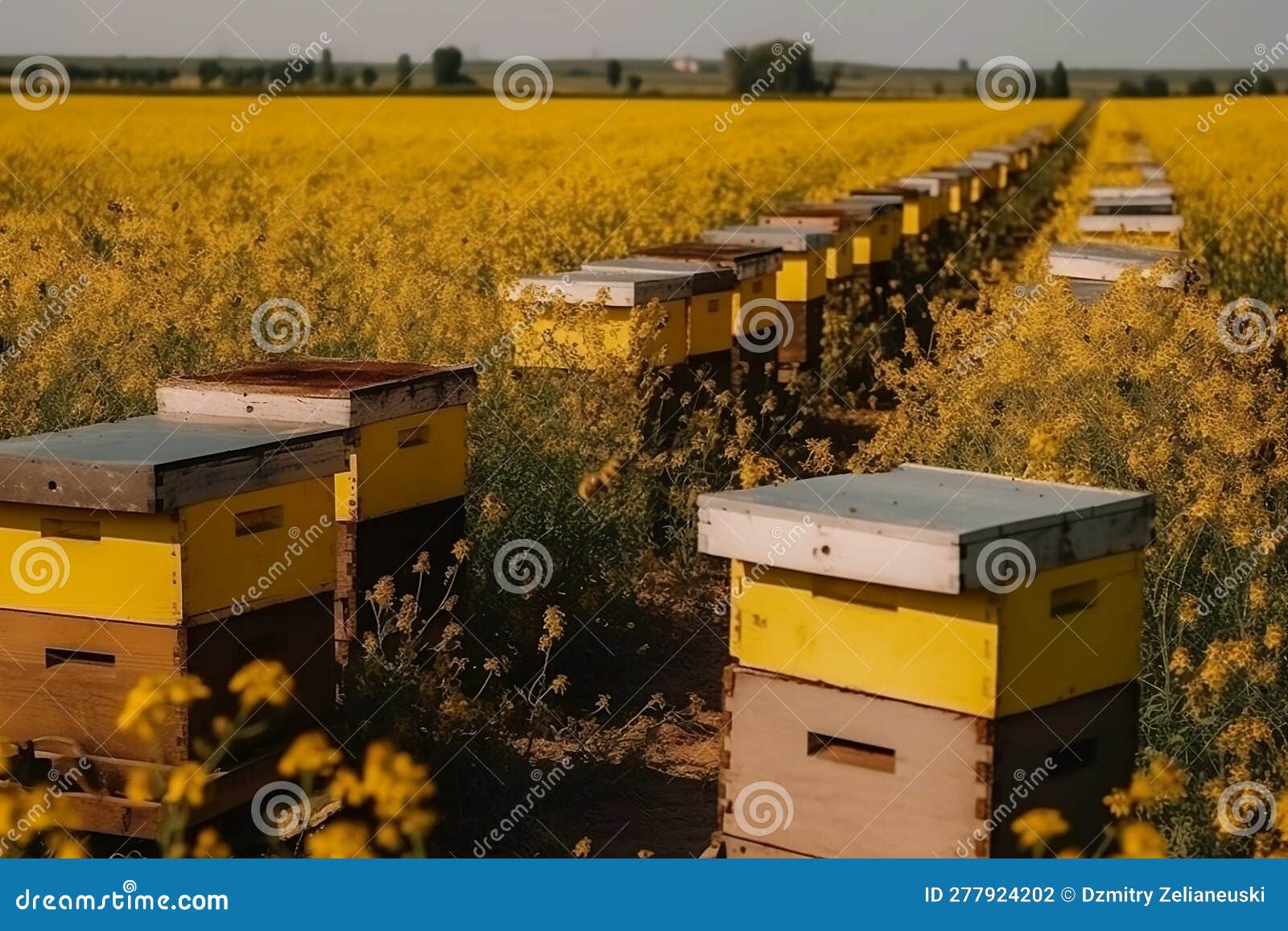 Beautiful Colored Field with Bees in the Hive. Generative AI. Stock ...