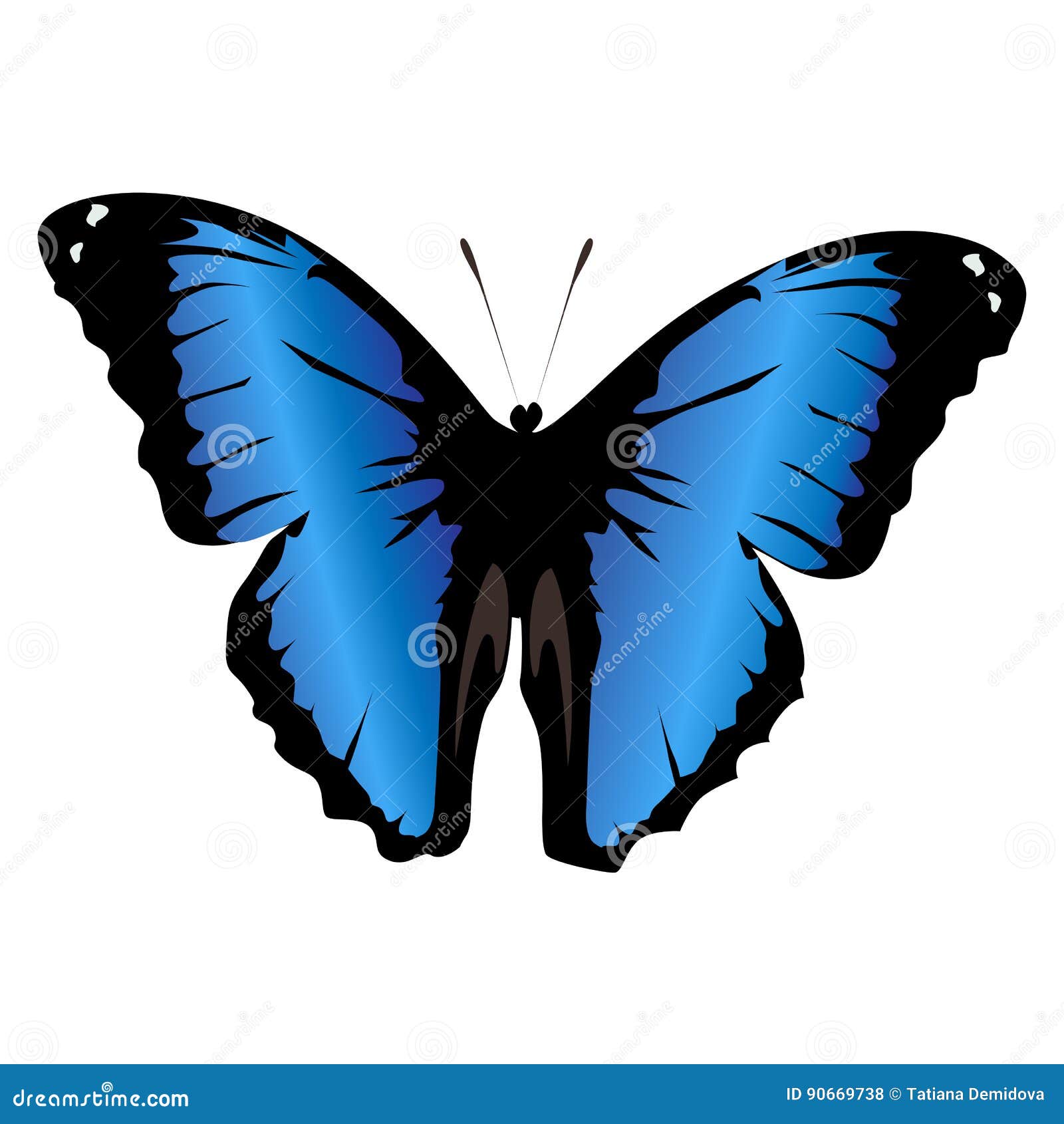 Beautiful Colored Icon Blue Butterfly on a White Background. Vector ...