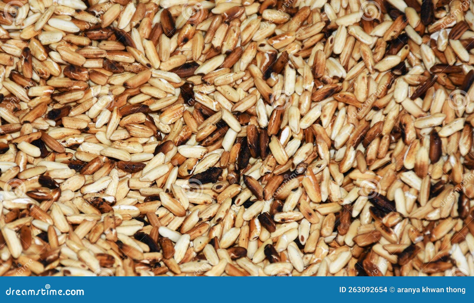 Beautiful Colored Roasted Rice for the Background Stock Photo - Image ...