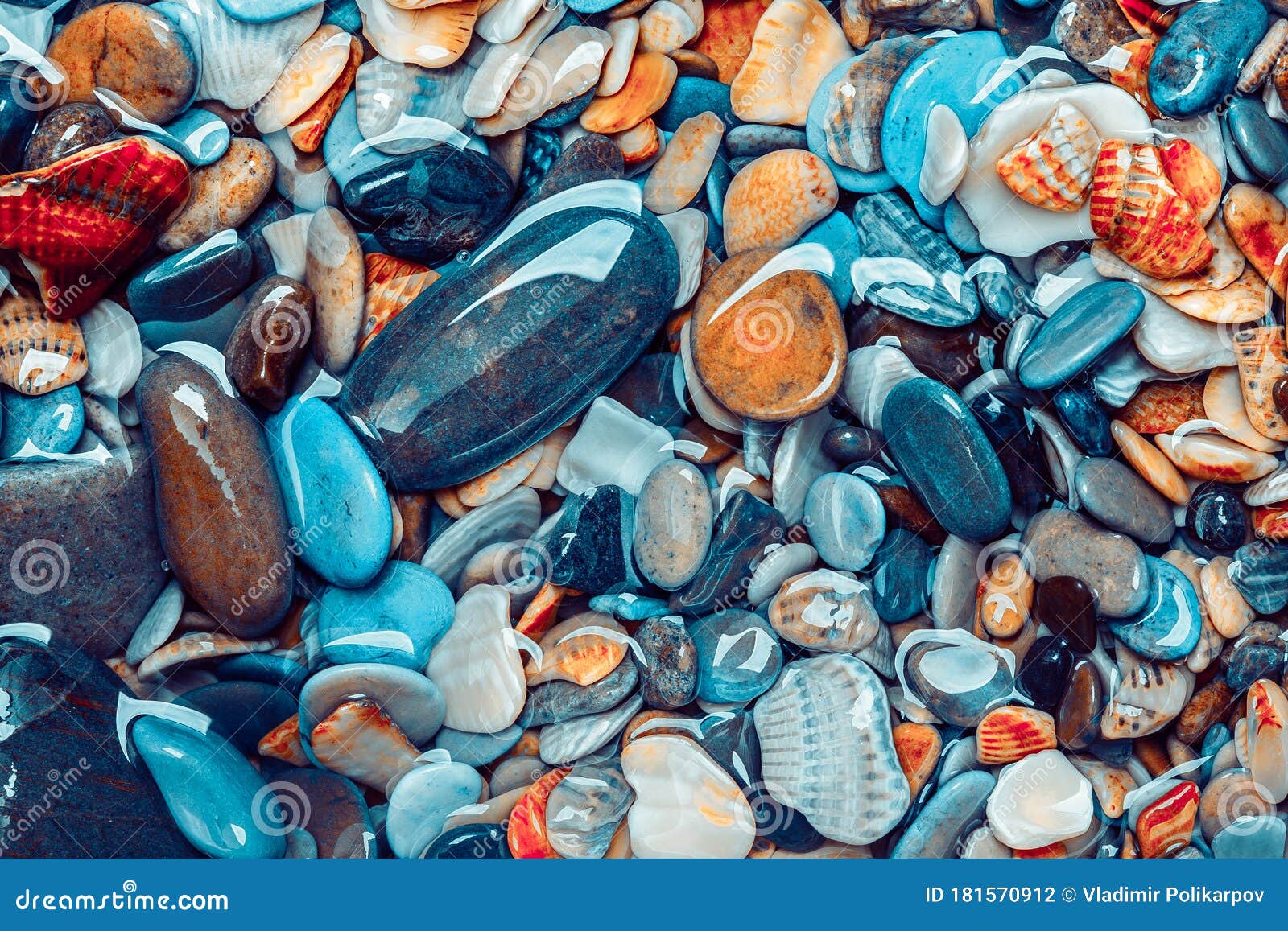 Beautiful Colored Sea Stones. Background for the Designer Stock Photo ...