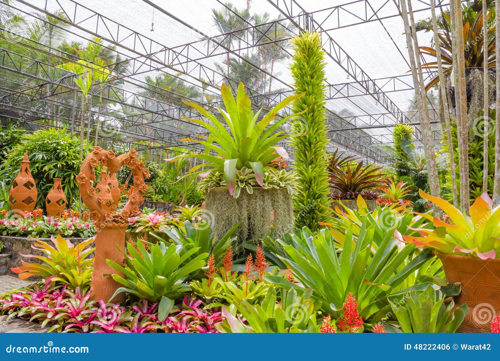 Beautiful Colorful Bromeliad Garden Stock Photo - Image of decorative ...