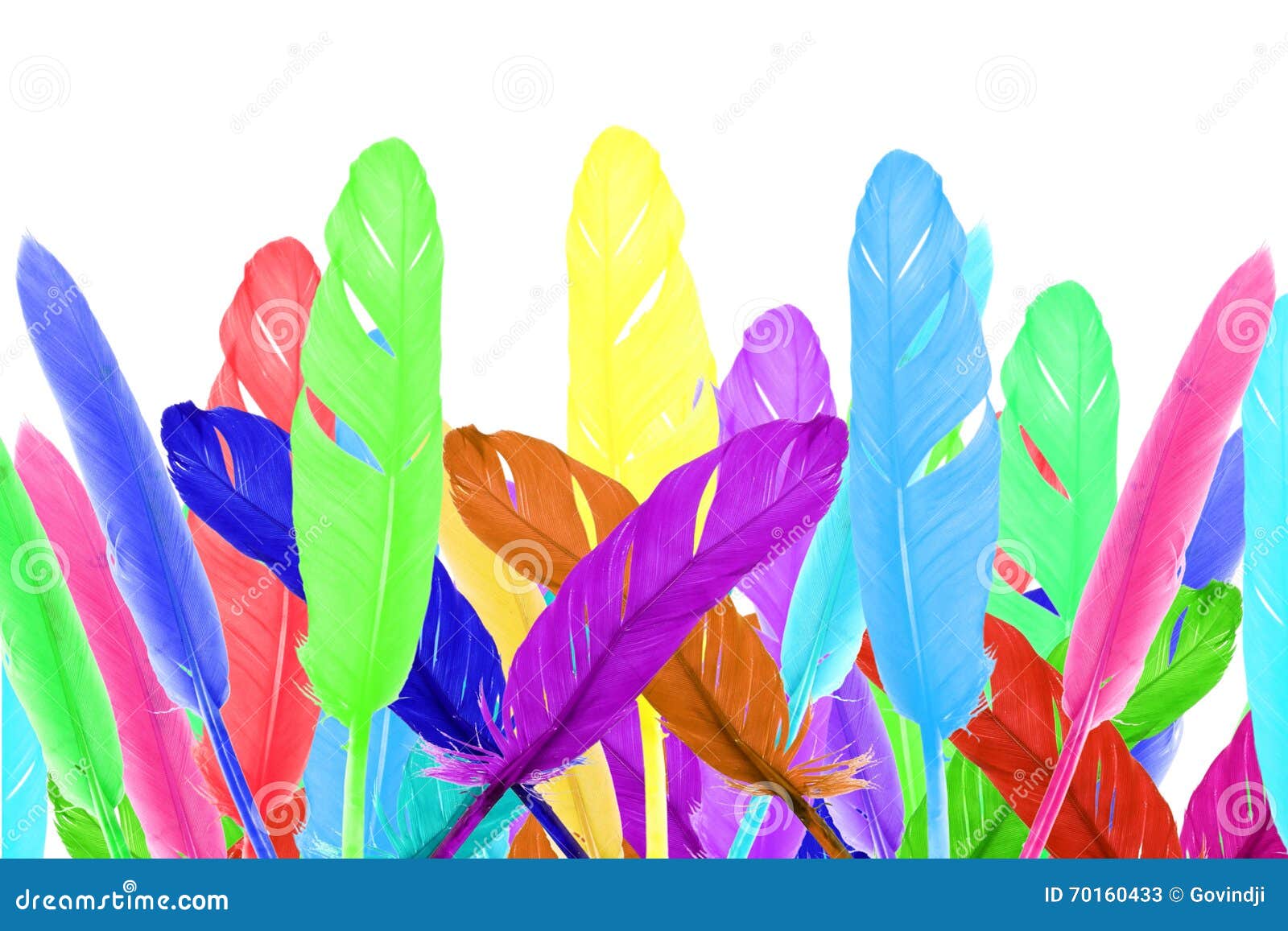 Beautiful Colorful Feather As Background with Text Space Stock Image ...