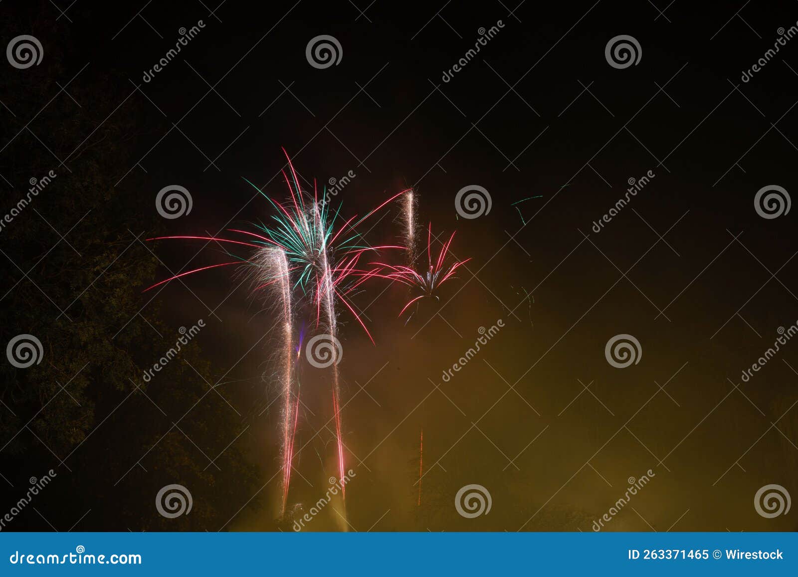 Beautiful Colorful Firework Show at a Park at Night Stock Image - Image ...