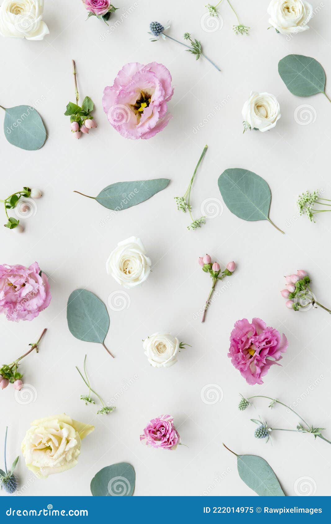 Beautiful Colorful Flowers Background Design Stock Image - Image of ...