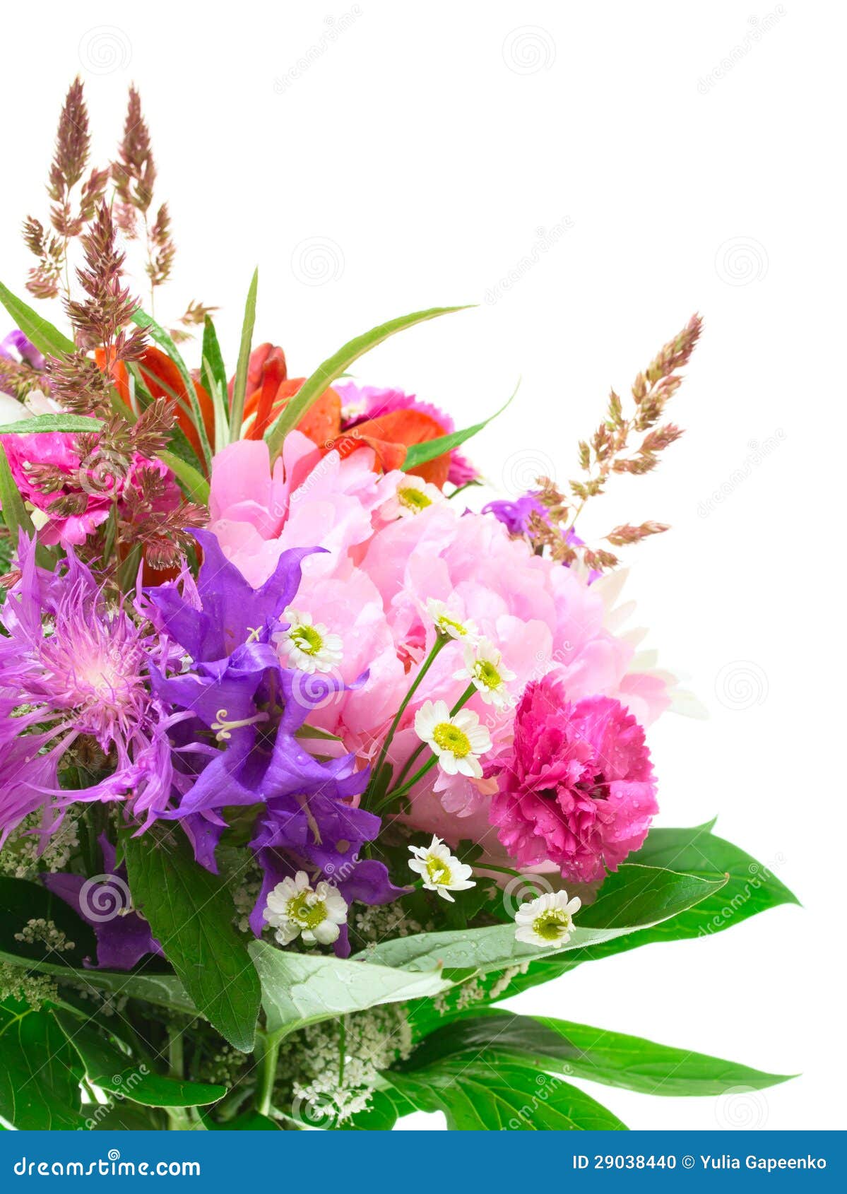 Beautiful Colorful Flowers Bouquet Stock Photo - Image of blossom ...