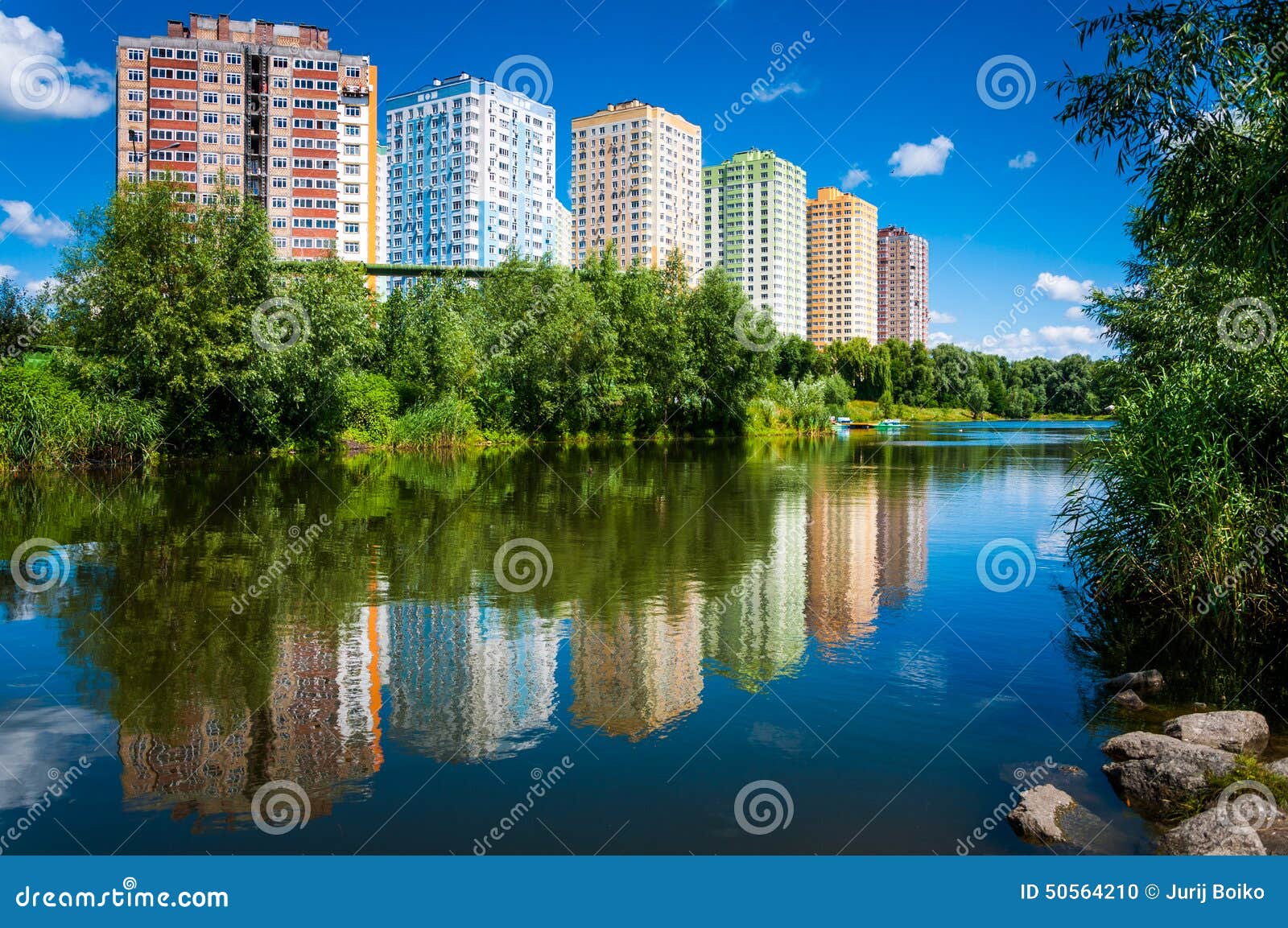 Beautiful Colorful Nature in among the Tall Stock Photo - Image of ...