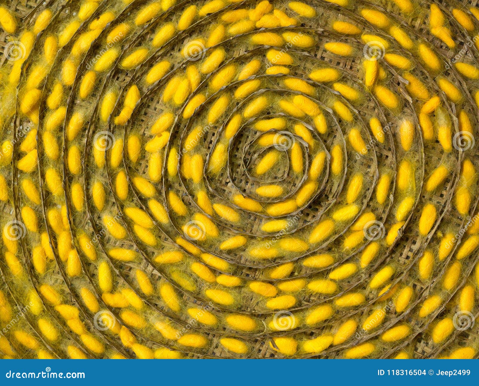 Colorful Patterns of Silk Worm Cocoons. Stock Photo - Image of brown ...