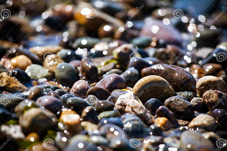 Beautiful Colorful Rocks on Beach Stock Photo - Image of rock, vivid ...