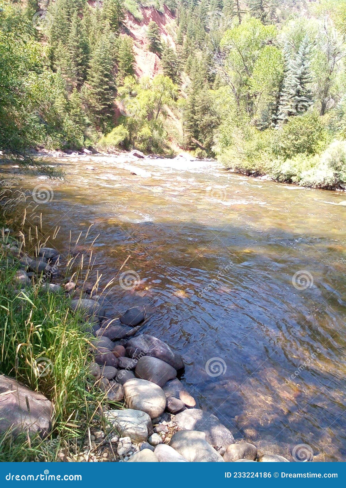 Beautiful Colorodo Stream Down a Hill Off a Hwy Stock Photo - Image of ...