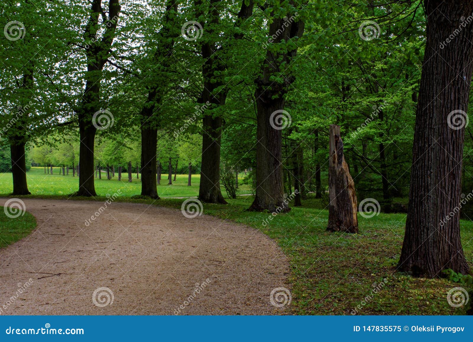 Beautiful Colors of Nature in the Spring Park Stock Image - Image of ...
