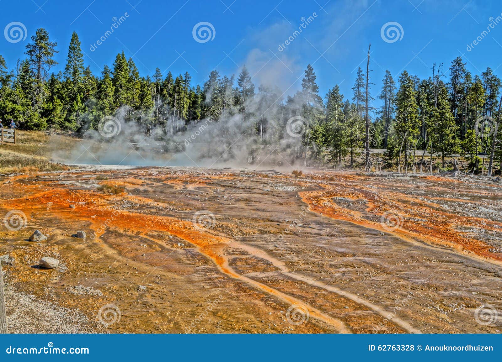 Beautiful Colors in Yellowstone NP Stock Photo - Image of spring, steam ...