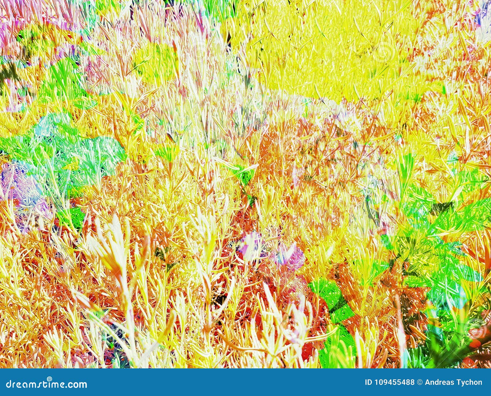 Coloured Tree Canopy Wallpaper Stock Photo - Image of textured, woods ...