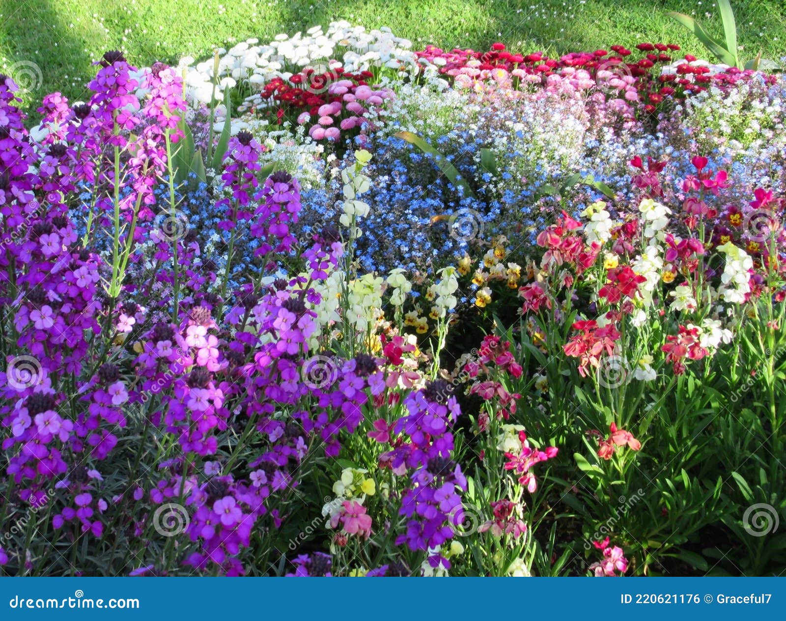 Beautiful Colourful Mixed Flower Bed at the Park Garden in Spring Stock ...