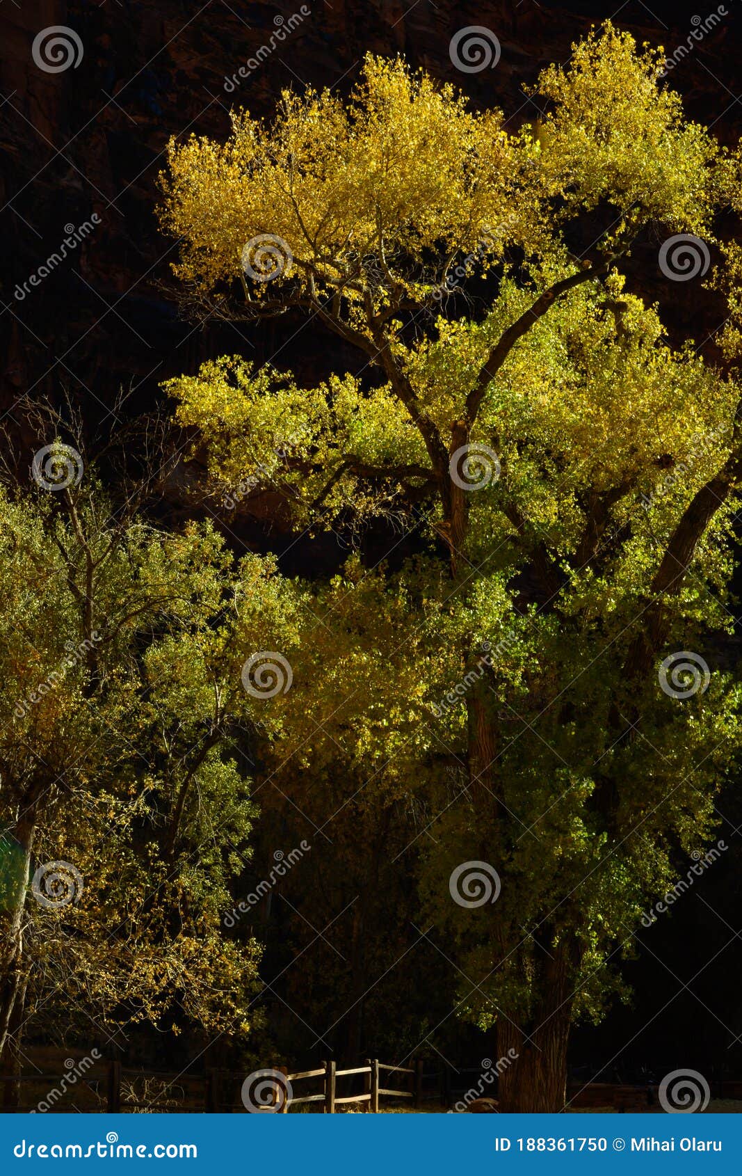 Beautiful Colours of the Autumn Stock Photo - Image of landscape ...