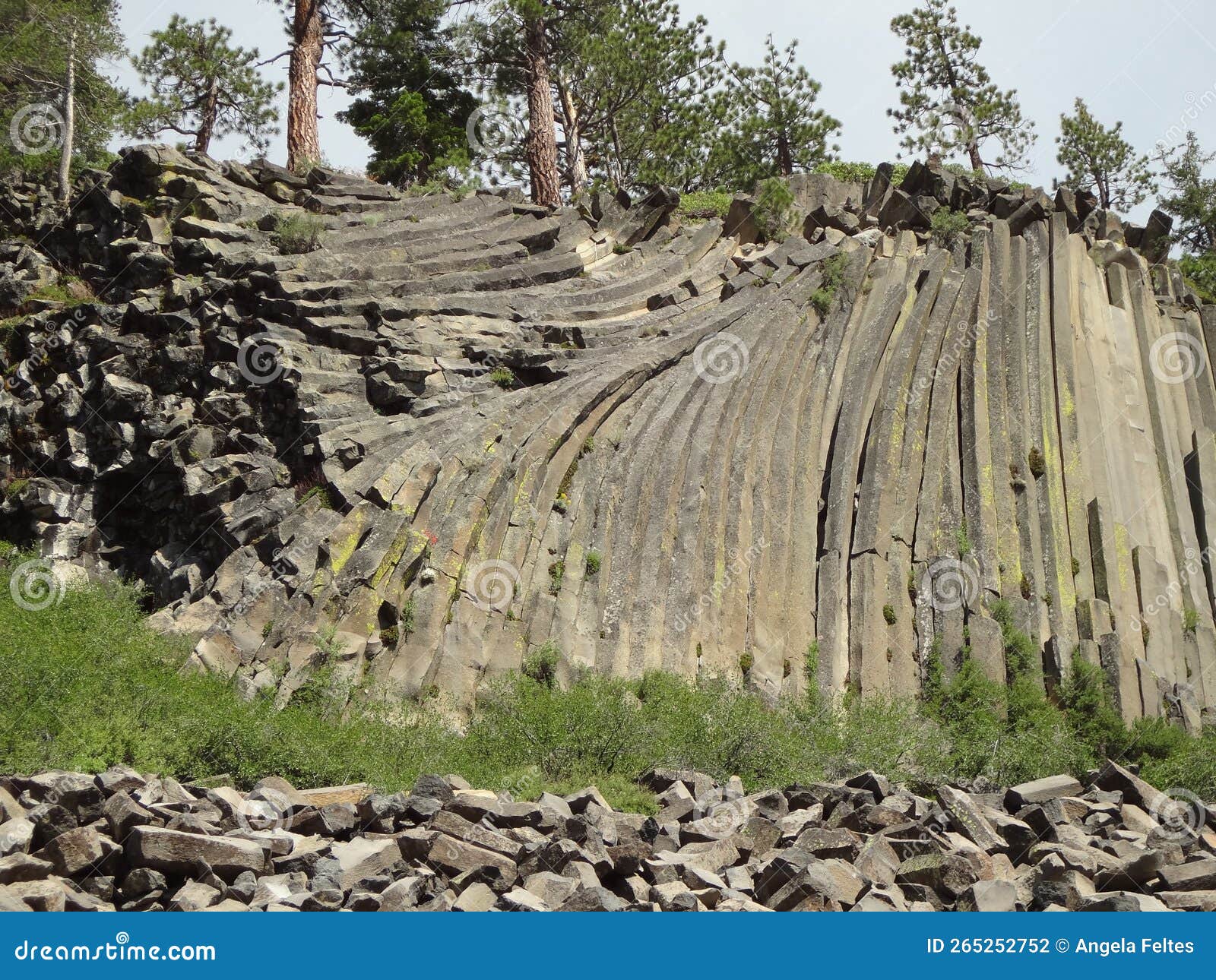 Beautiful Columnar Basalt at Devil S Postpone National Monument Stock ...