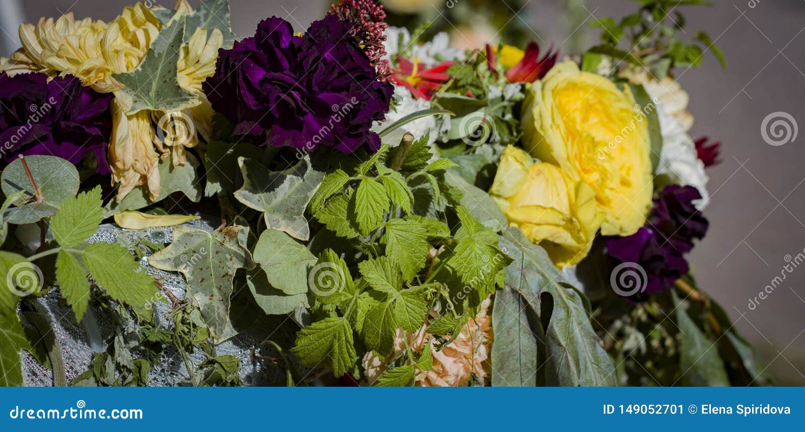 Beautiful Composition of Different Colors on a Blurred Green Background ...