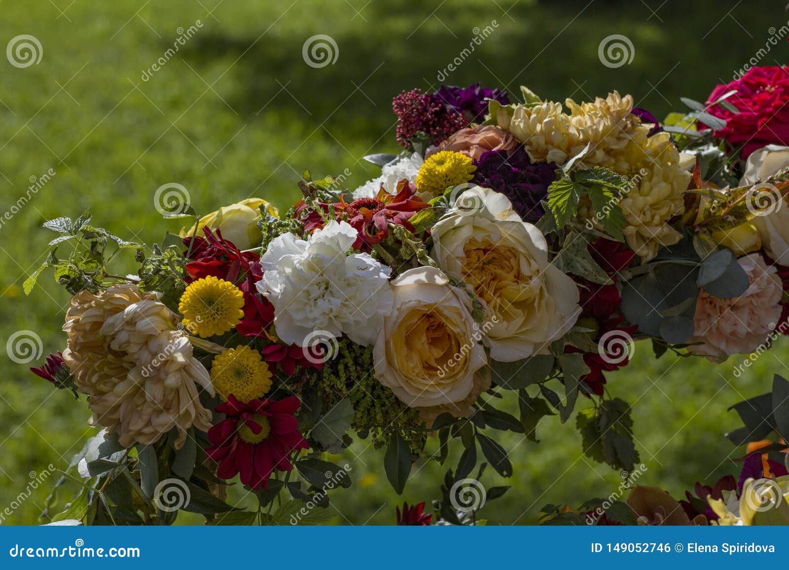 Beautiful Composition of Different Colors on a Blurred Green Background ...