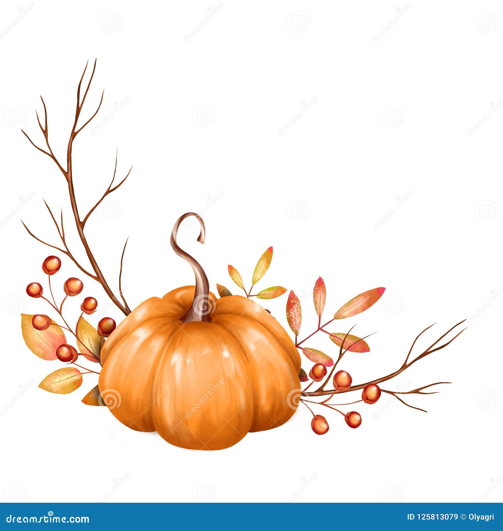Beautiful Composition with Pumpkin and Fall Branches Stock Illustration ...