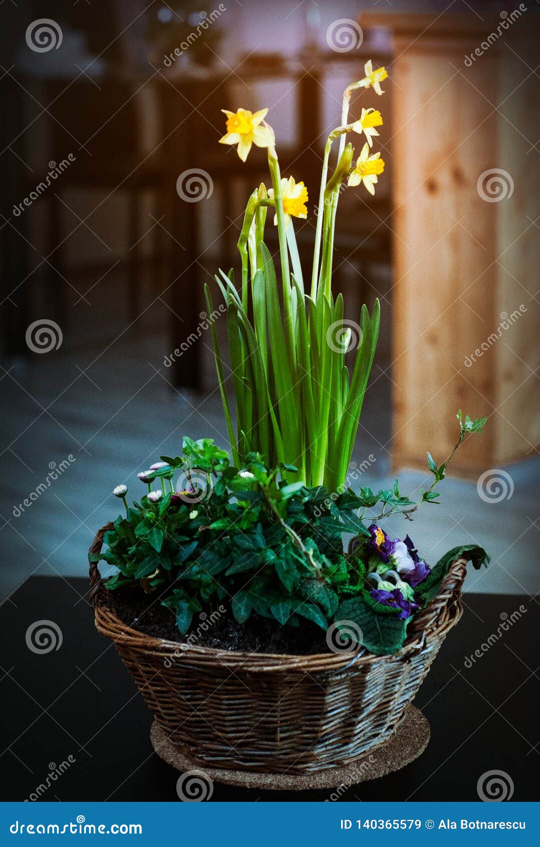 A Beautiful Composition of Spring Flowers with Daffodils and Other ...