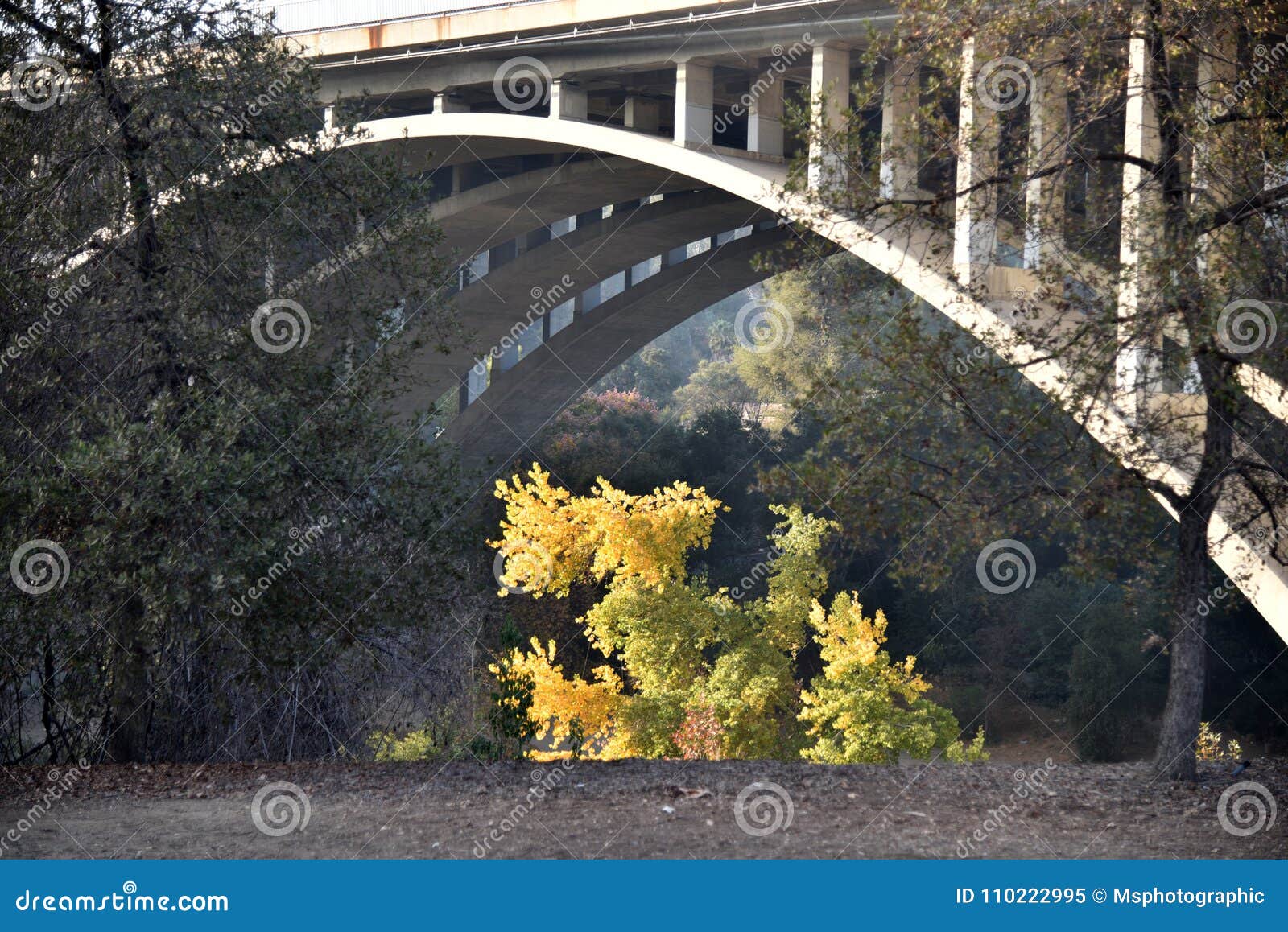 Beautiful Concrete Arch Bridge Stock Image - Image of arch, outdoors ...