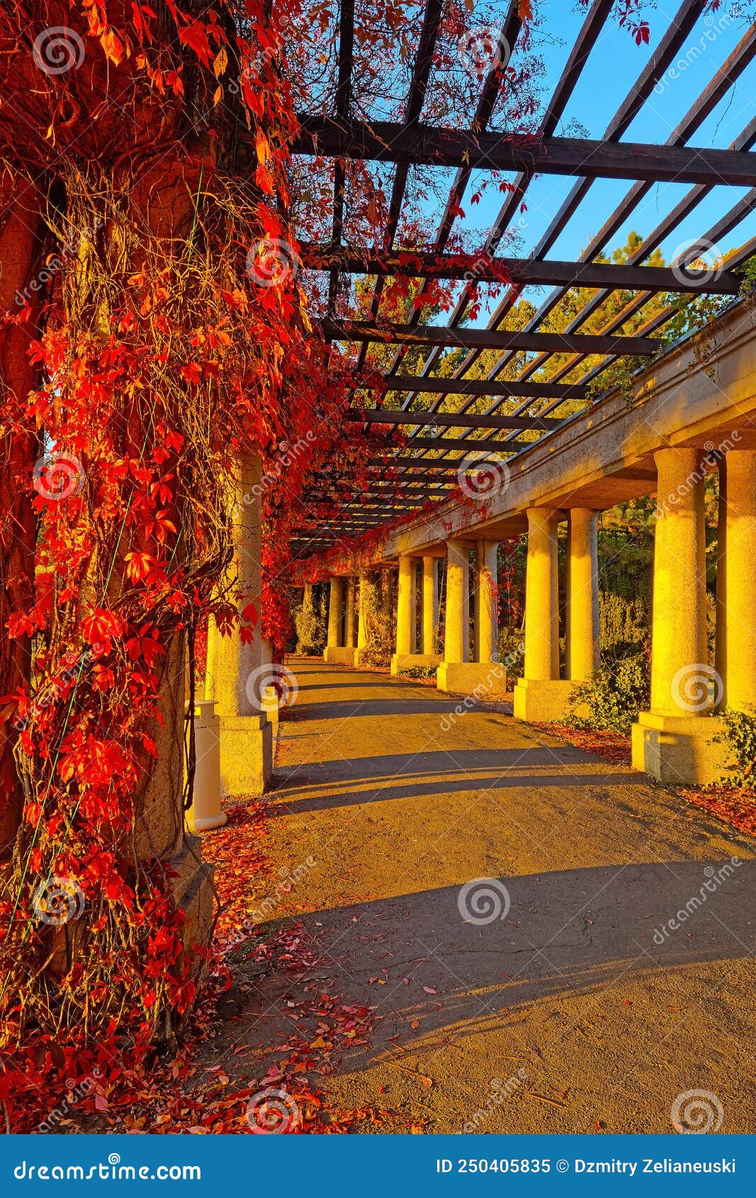Beautiful Concrete Structure in the Park in Autumn Stock Image - Image ...
