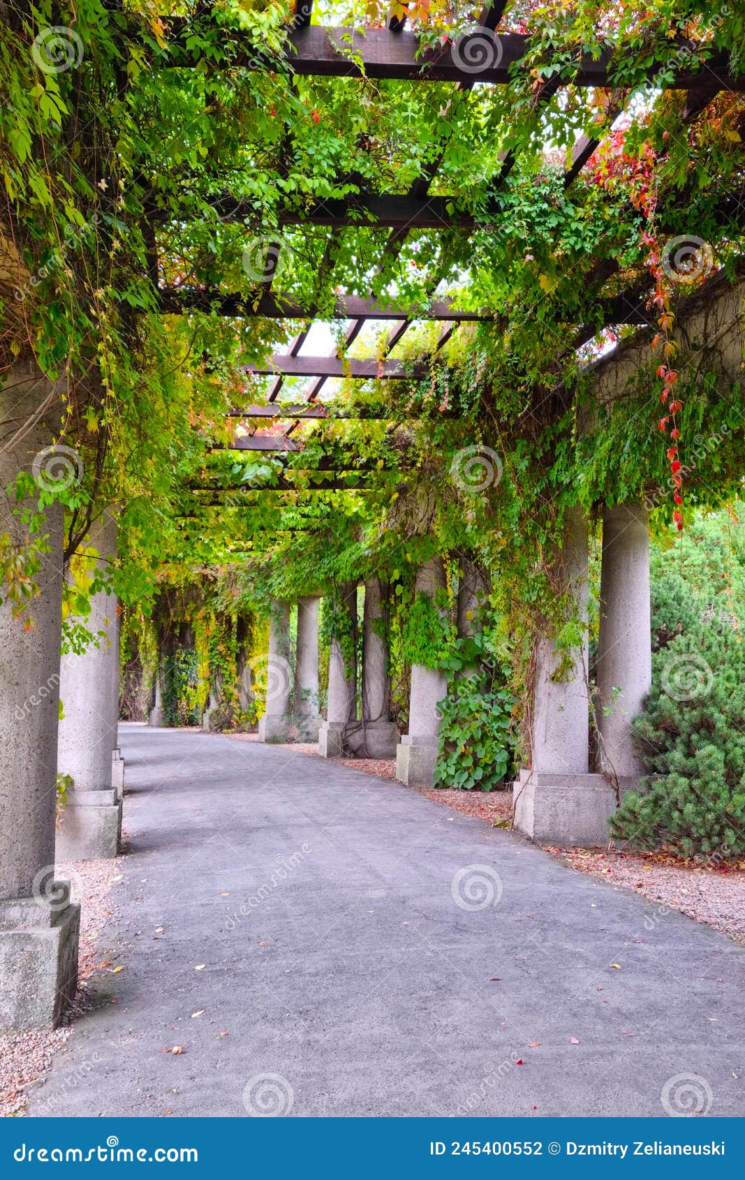 Beautiful Concrete Structure in the Park with Greenery. Stock Photo ...