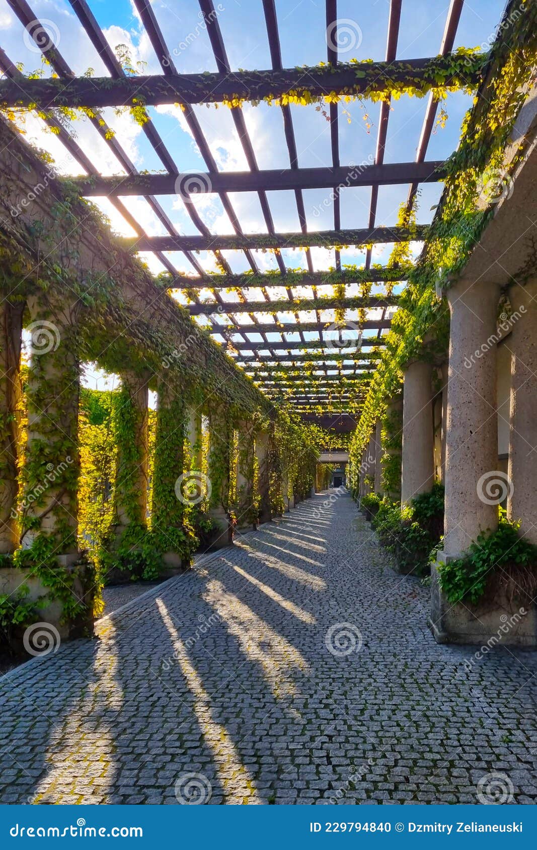 Beautiful Construction of a Building with a Setting Sun Stock Photo ...