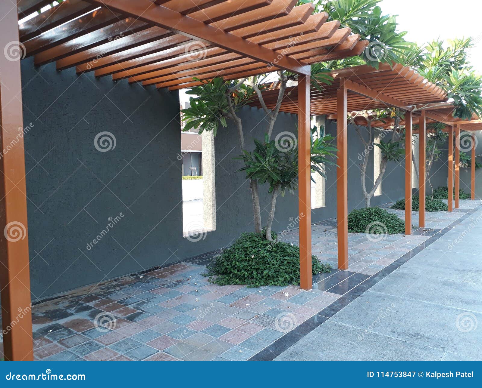 With a Beautiful Construction Scene Tree Stock Image - Image of phone ...