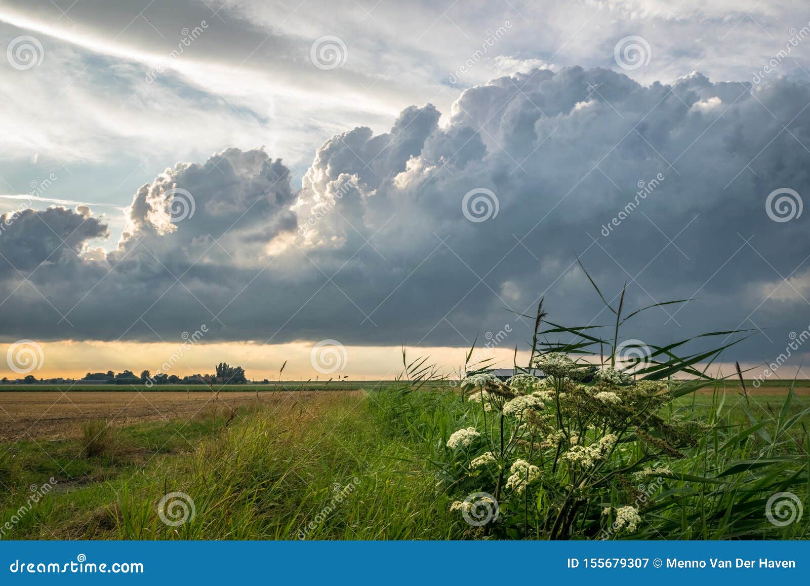 Developing Storm Clouds Over the Dutch Countryside in the Evening Stock ...