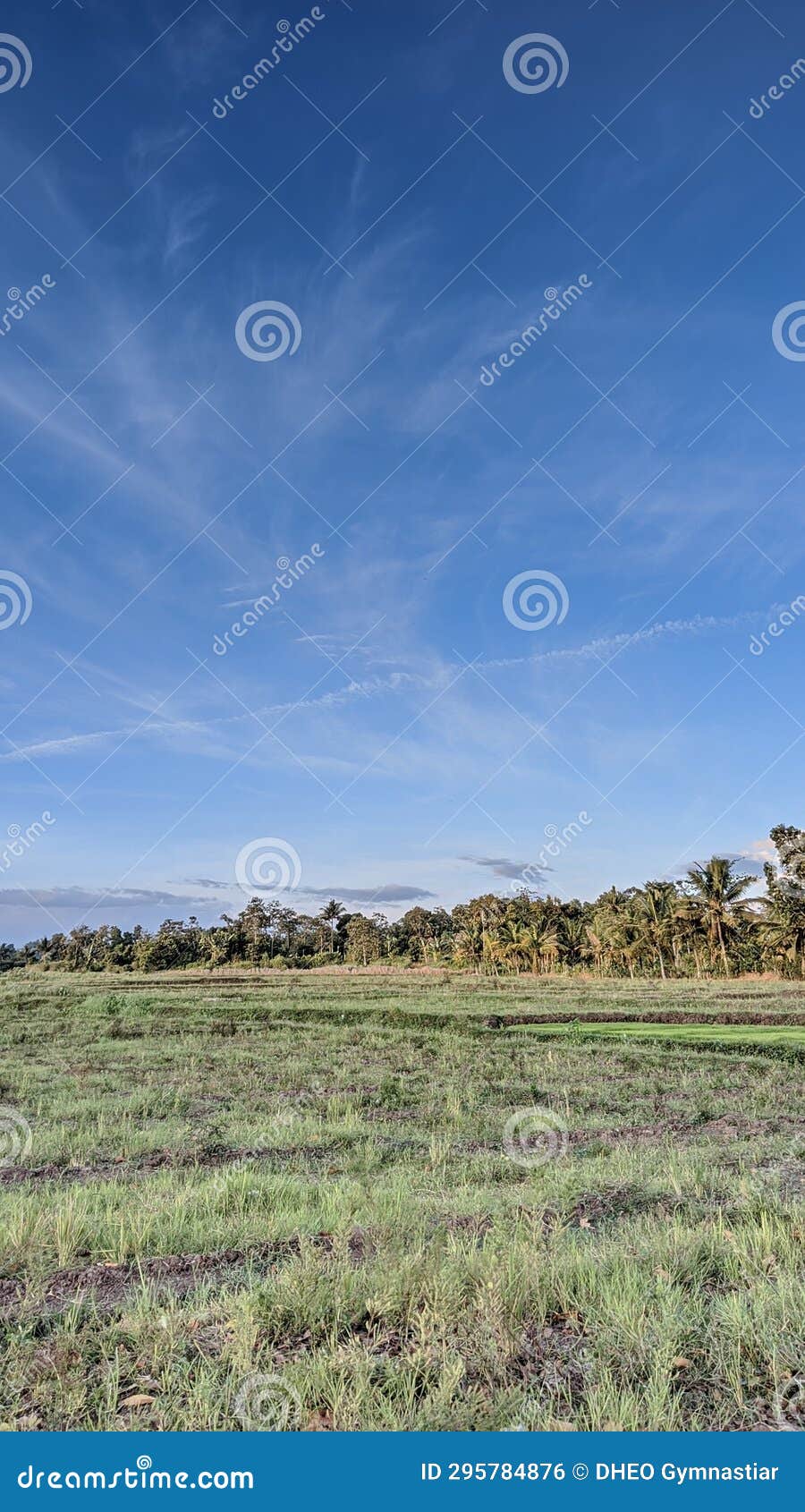 Beautiful and Cool Grasslands Somewhere in Indonesia Stock Photo ...