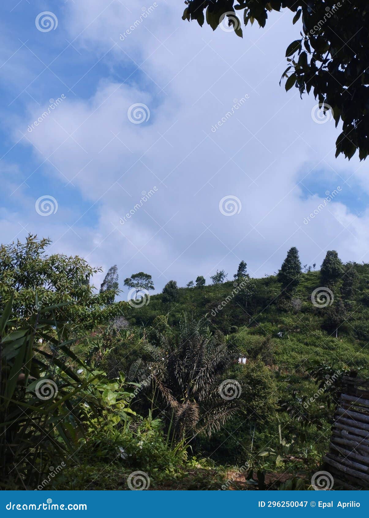Beautiful and Cool Natural Scenery Stock Image - Image of natural ...