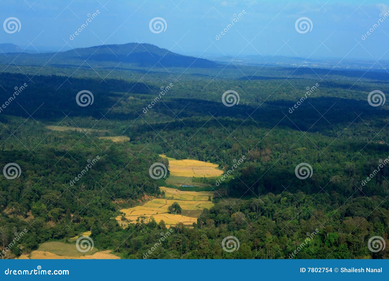 Beautiful Coorg landscape stock photo. Image of superb - 7802754