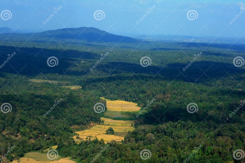 Beautiful Coorg landscape stock photo. Image of superb - 7802754