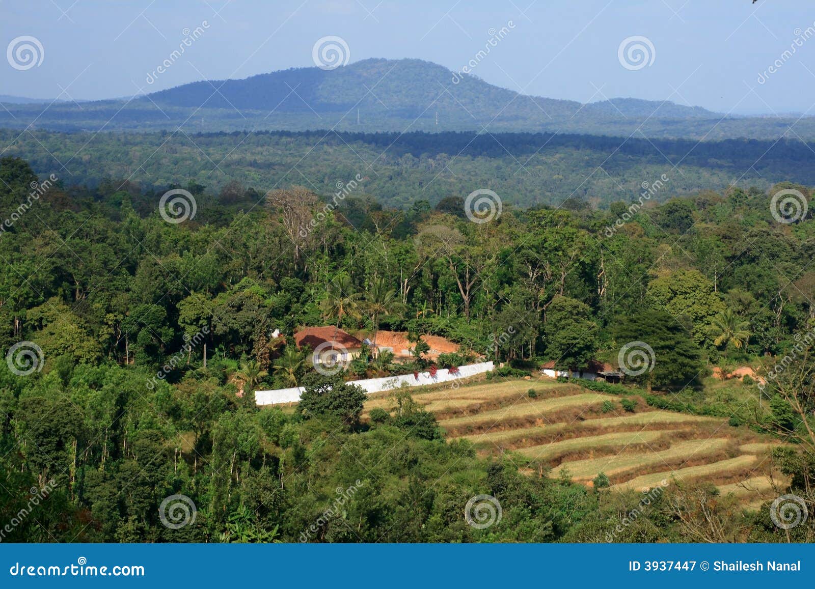 Beautiful Coorg Landscape-I Stock Image - Image of forest, mountain ...